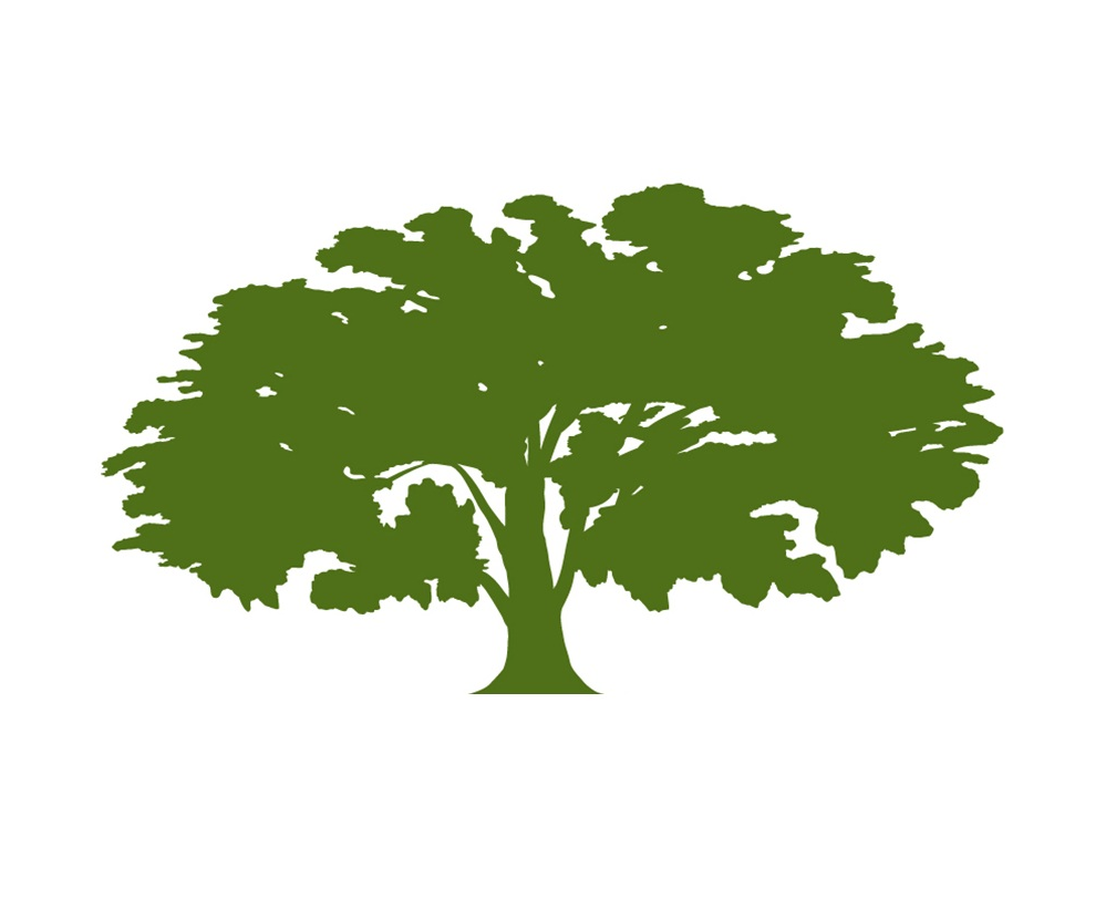 GEORGIA DEPARTMENT OF NATURAL RESOURCES: HOW TO AVOID POTENTIAL ...