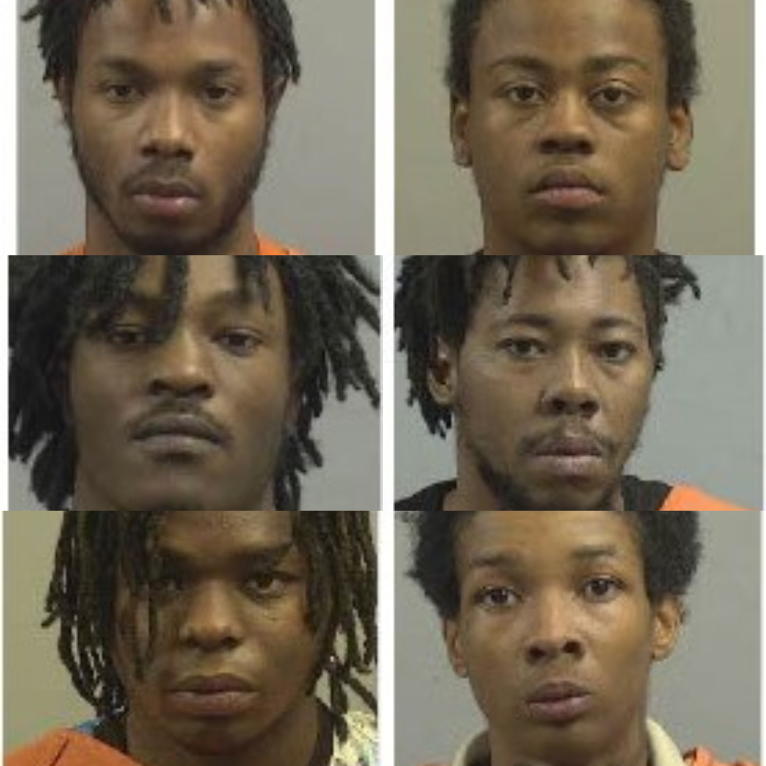 Wayne County Sheriff’s Office Arrest Suspects Connected To Stolen ...