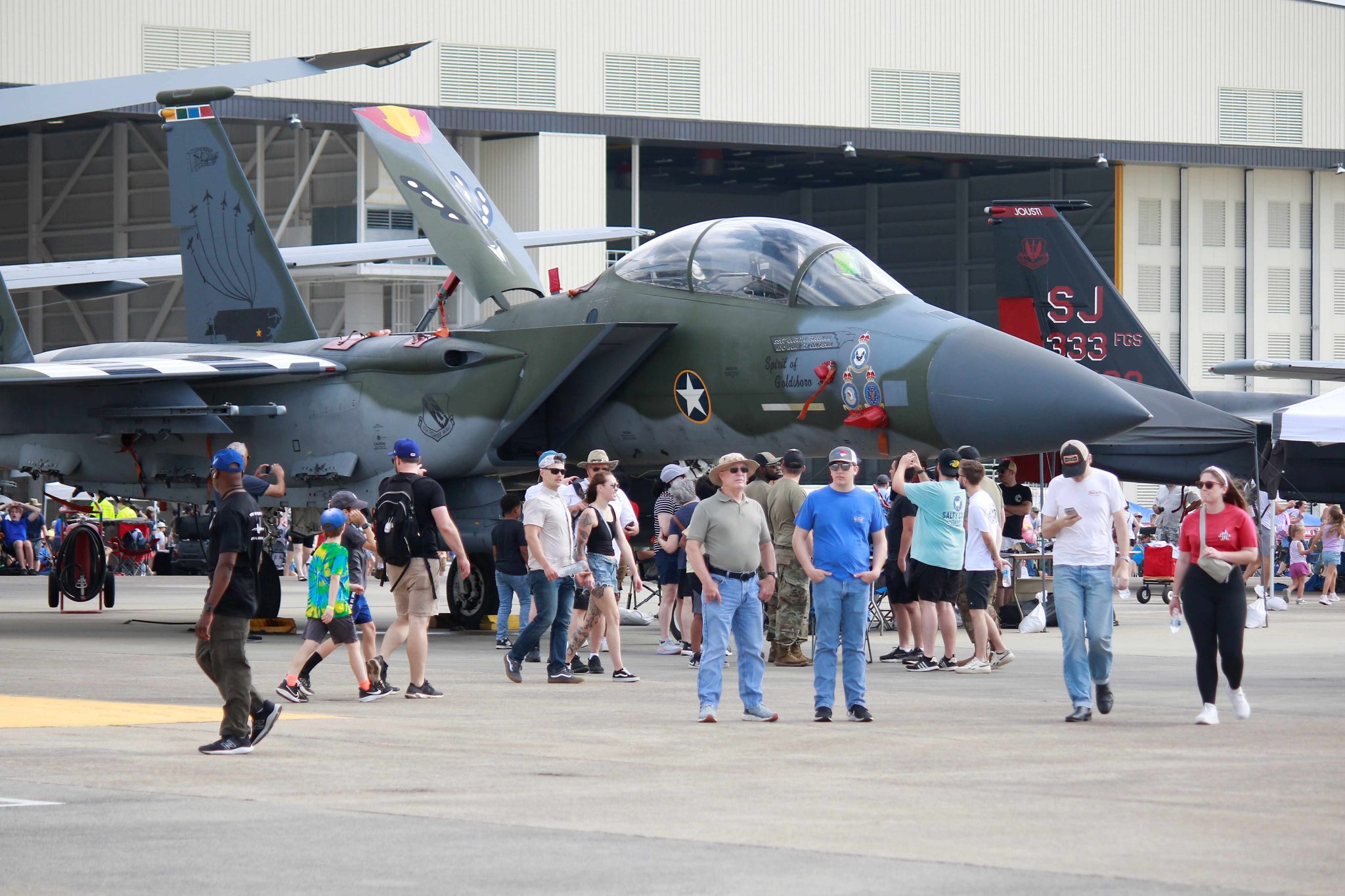 Massive Crowds Flock to Wings Over Wayne Air Show | Goldsboro Daily News