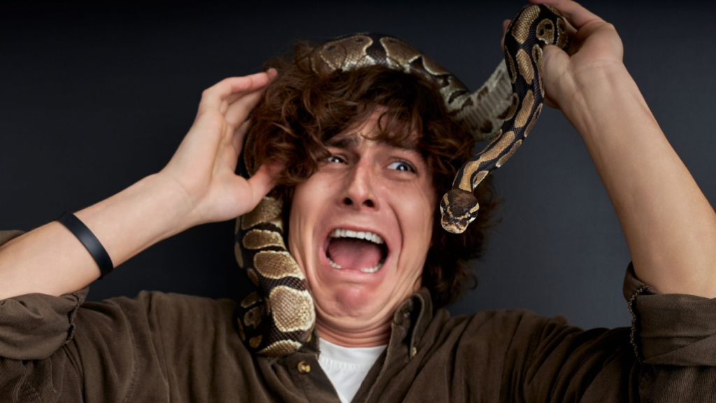 Afraid of Snakes? You're Not Alone - Southern Farm Network