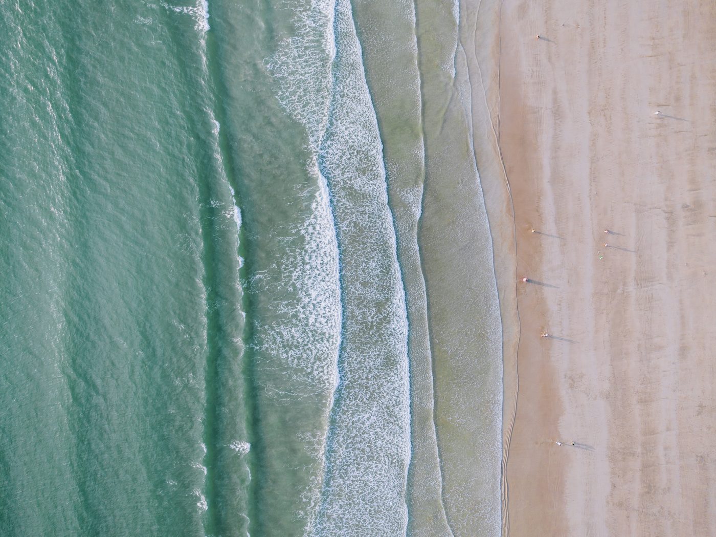 January 27th 2025 - QDR Plus