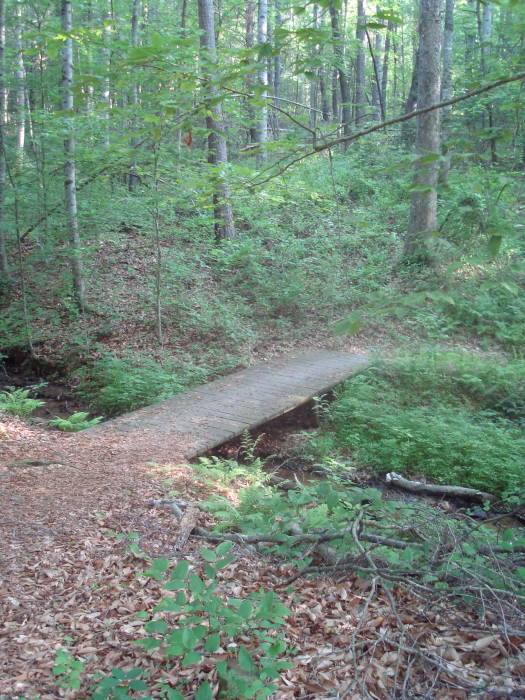 Plant Walk | WCHV-AM