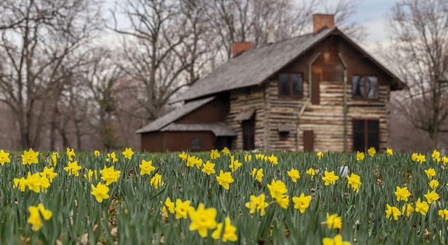 Log Cabin Day Spotlights Detroit Neighborhood in Renaissance – WJR-AM