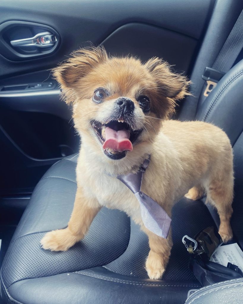 Veronica Rates | KMAJ-FM