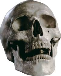 Hurricane Michael Looked Like A Skull in Satellite Photos! | WJJK-FM