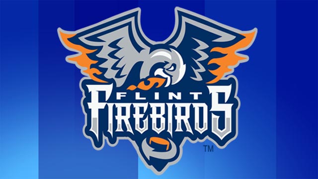 DORT FINANCIAL/FLINT FIREBIRDS - WRSR-FM