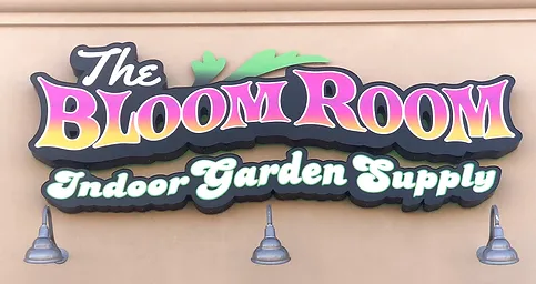 THE BLOOM ROOM - WRSR-FM