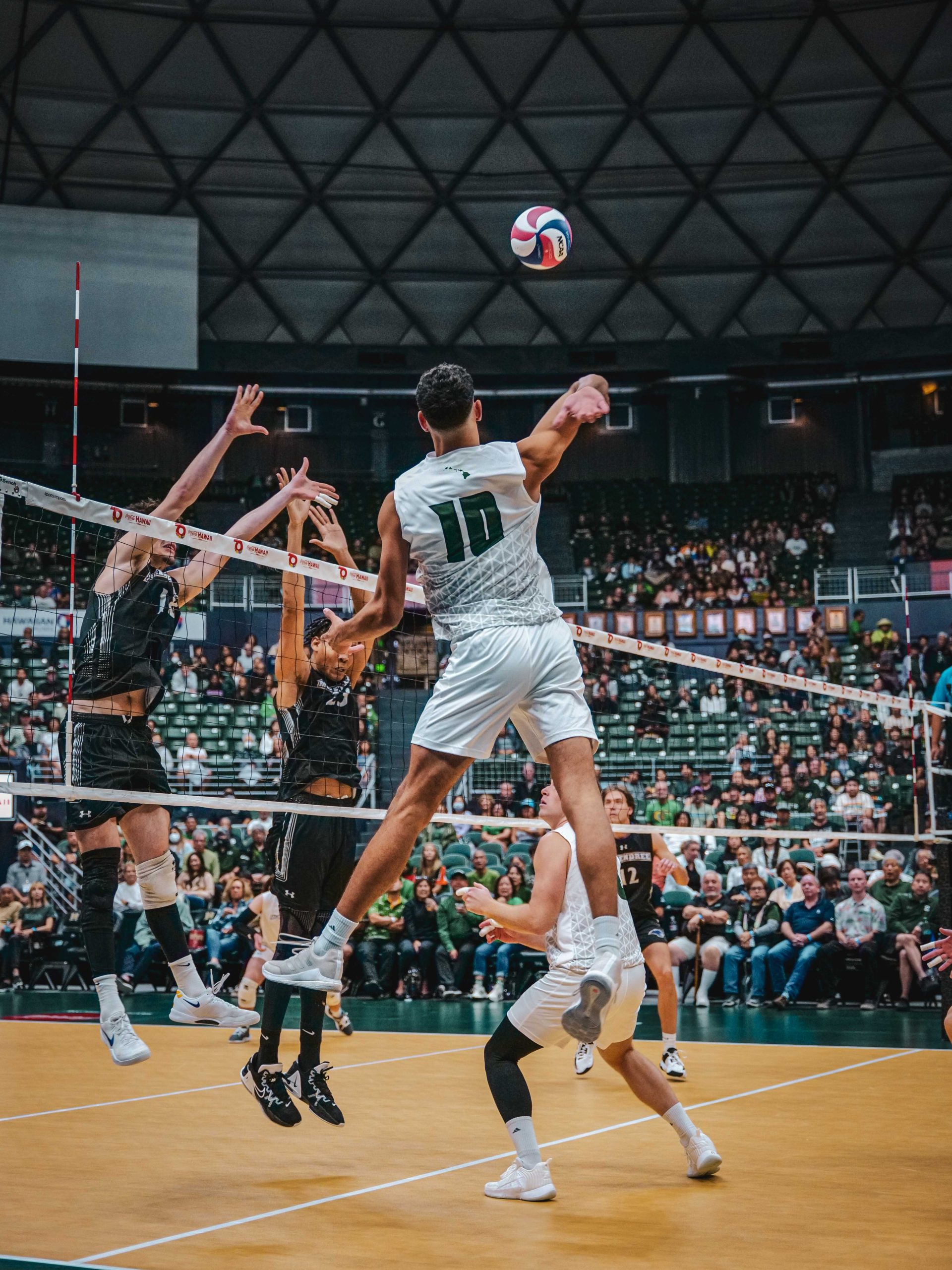 Week 1 | 6 takeaways for Rainbow Warrior Volleyball 2025 – ESPN Honolulu