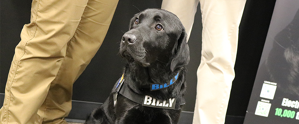 [VIDEO] Floyd County Police unveils new electronic detection K9 unit | WRGA