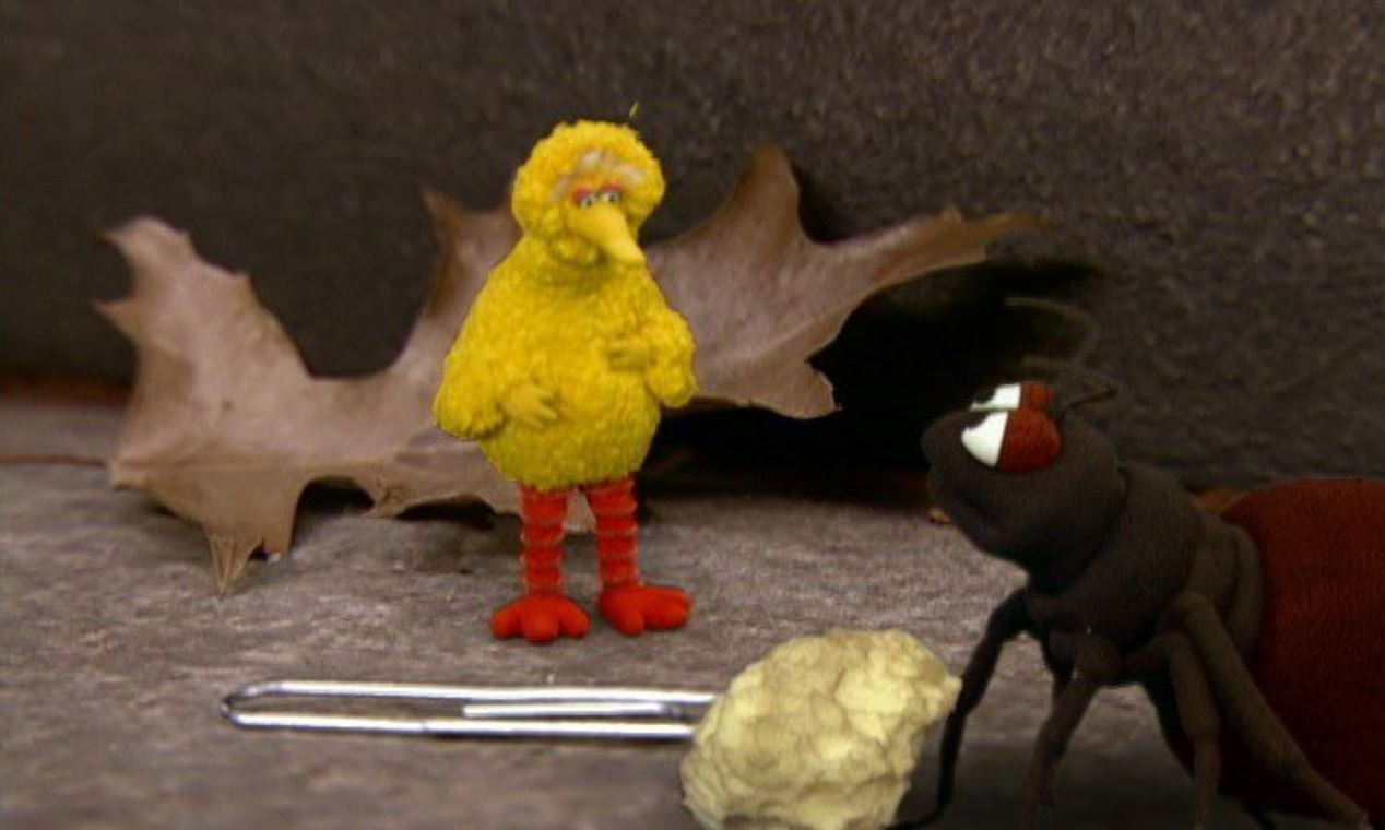 Big Bird Is Small Now – The Wolf 104.9